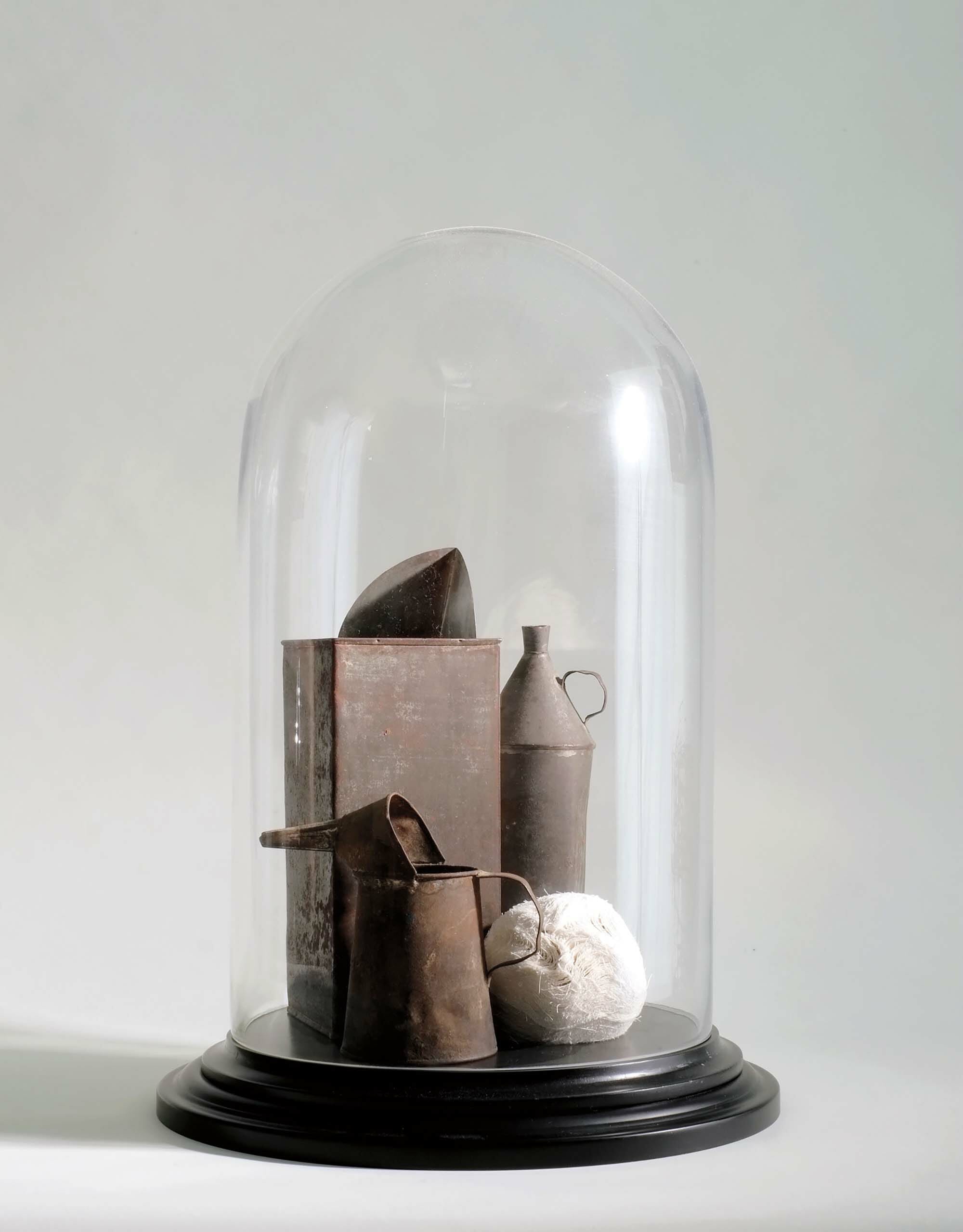 Natasha Nicholson: The Artist in Her Museum – Madison Museum of ...