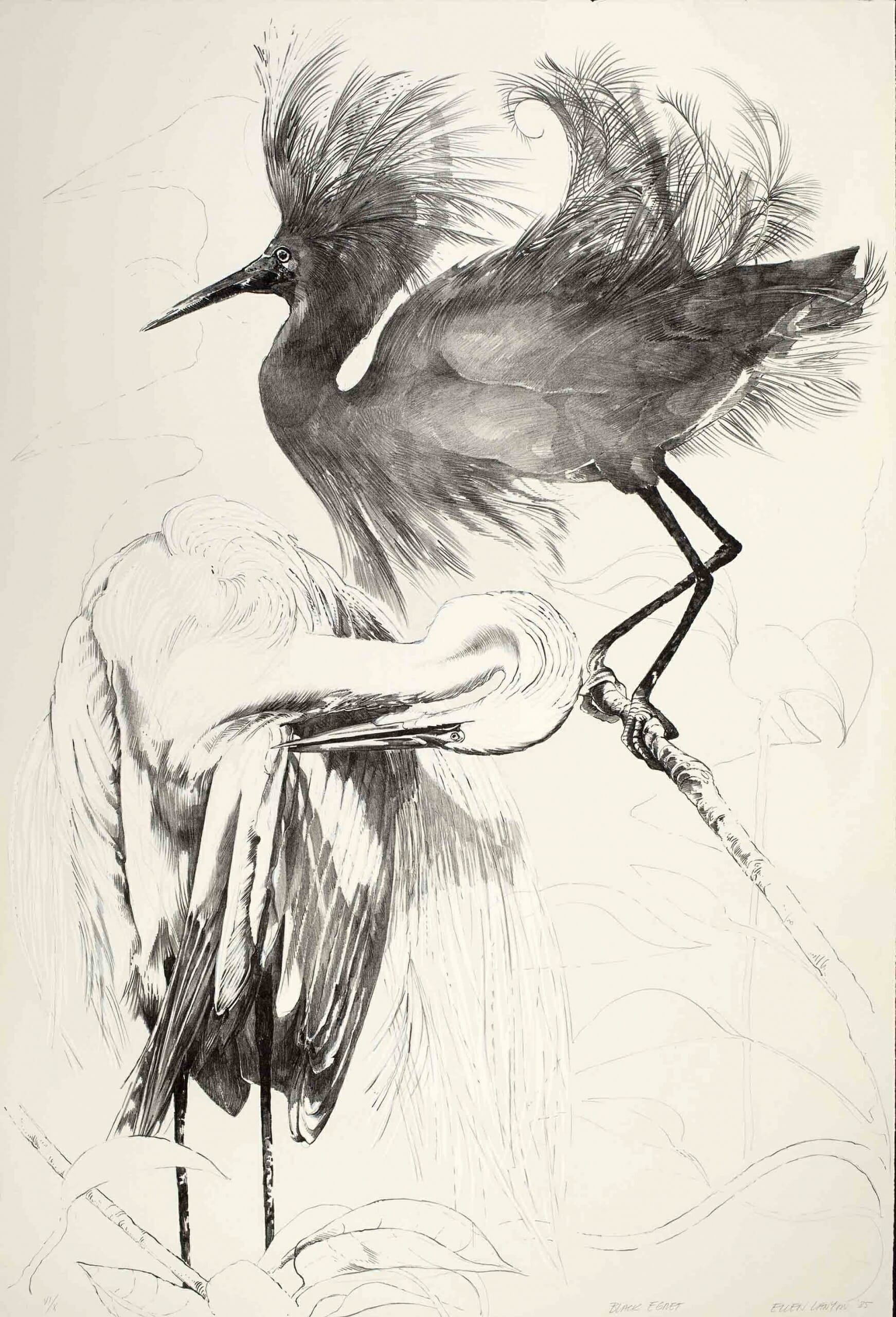 Curious Worlds: The Art of Ellen Lanyon – Madison Museum of ...