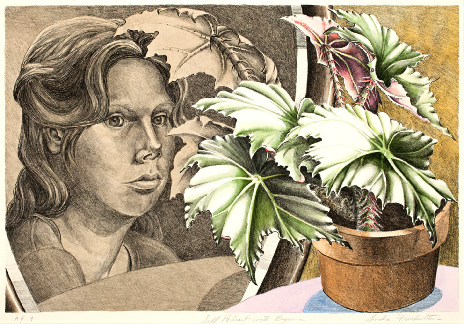 Sondra Freckelton – Madison Museum of Contemporary Art