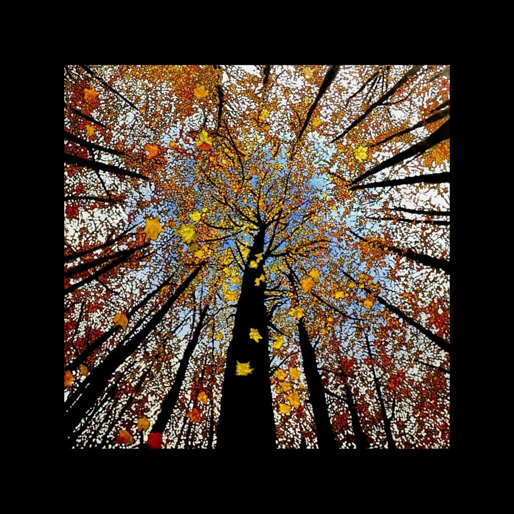 Ken Reif – Madison Museum of Contemporary Art