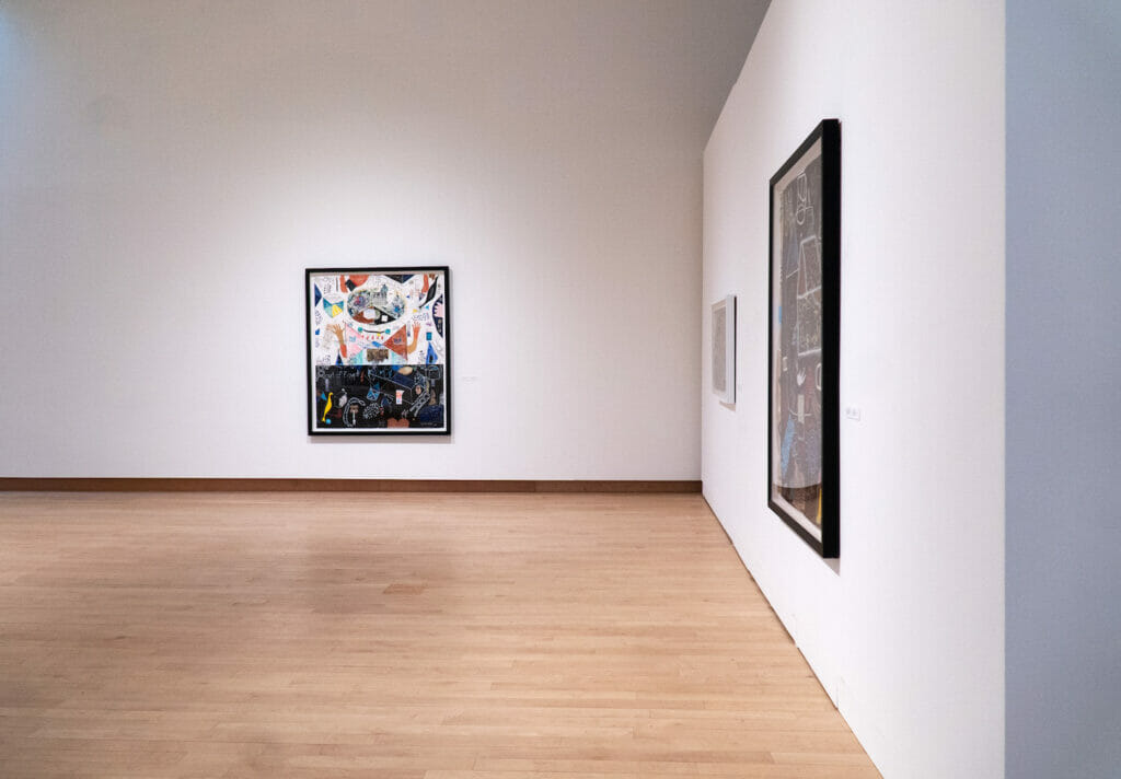 Floyd Newsum: Evolution of Sight