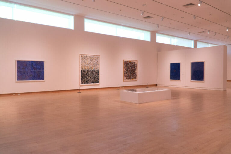 Floyd Newsum: Evolution of Sight