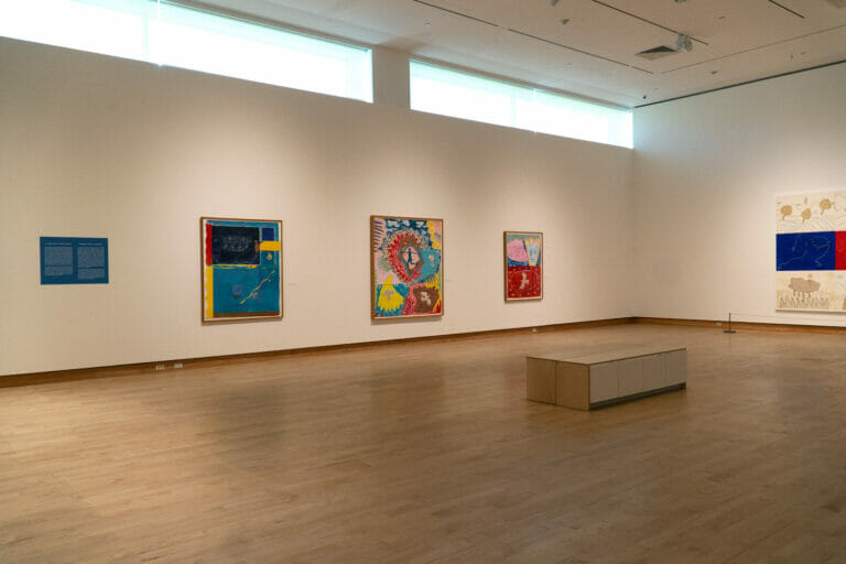 Floyd Newsum: Evolution of Sight