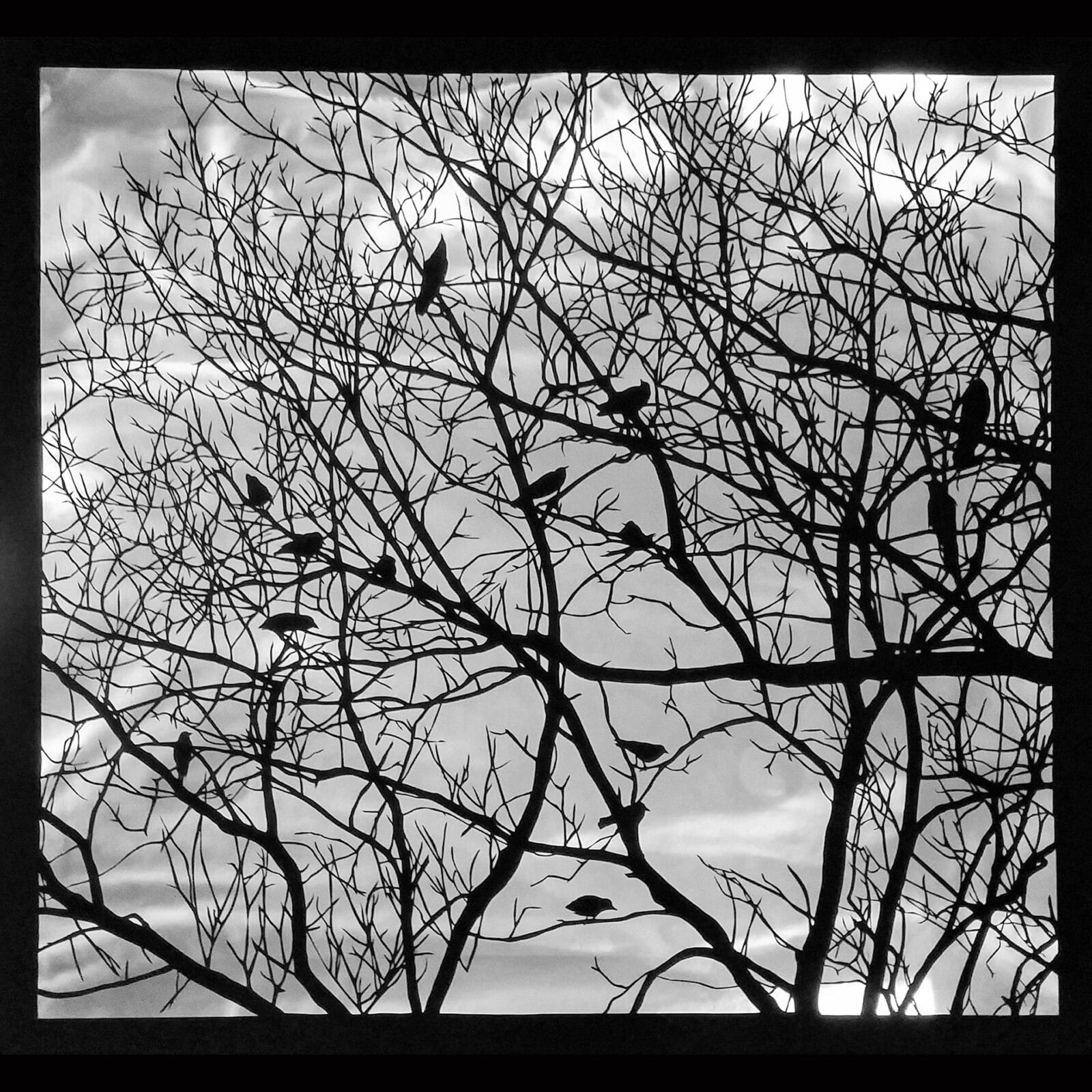 Participating Artists – Madison Museum of Contemporary Art