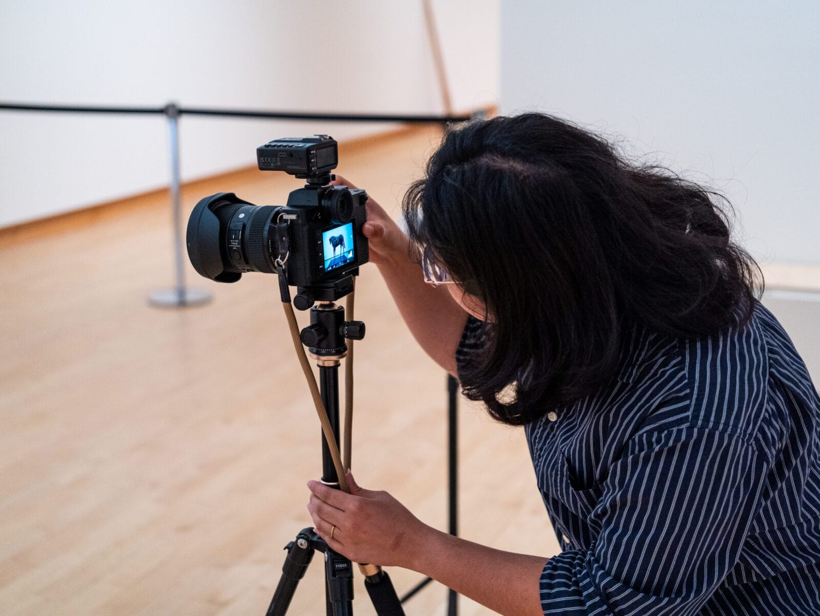 Frida Kahlo – Madison Museum of Contemporary Art