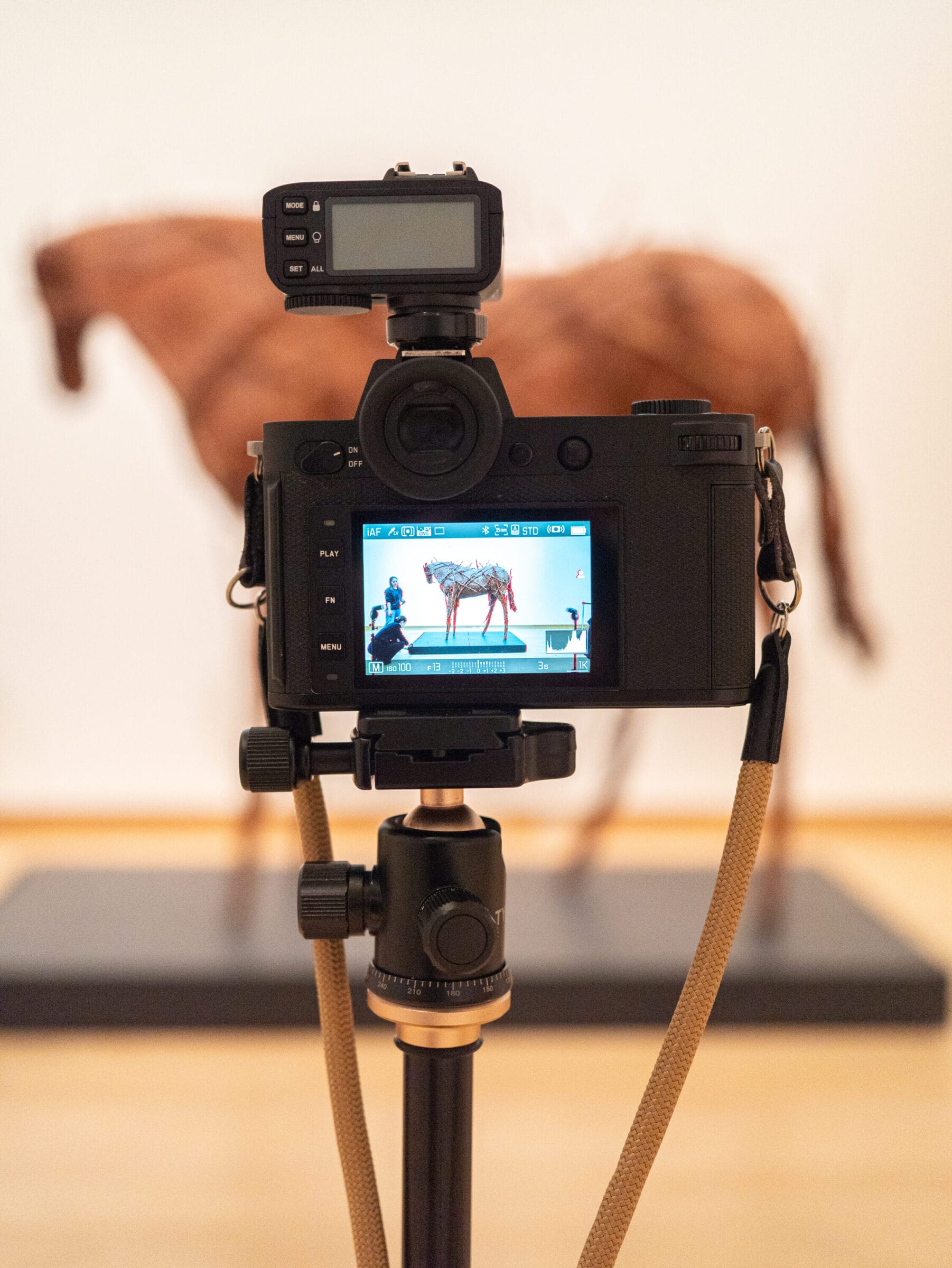 Ray Yoshida: The Spaces in Between – Madison Museum of Contemporary Art