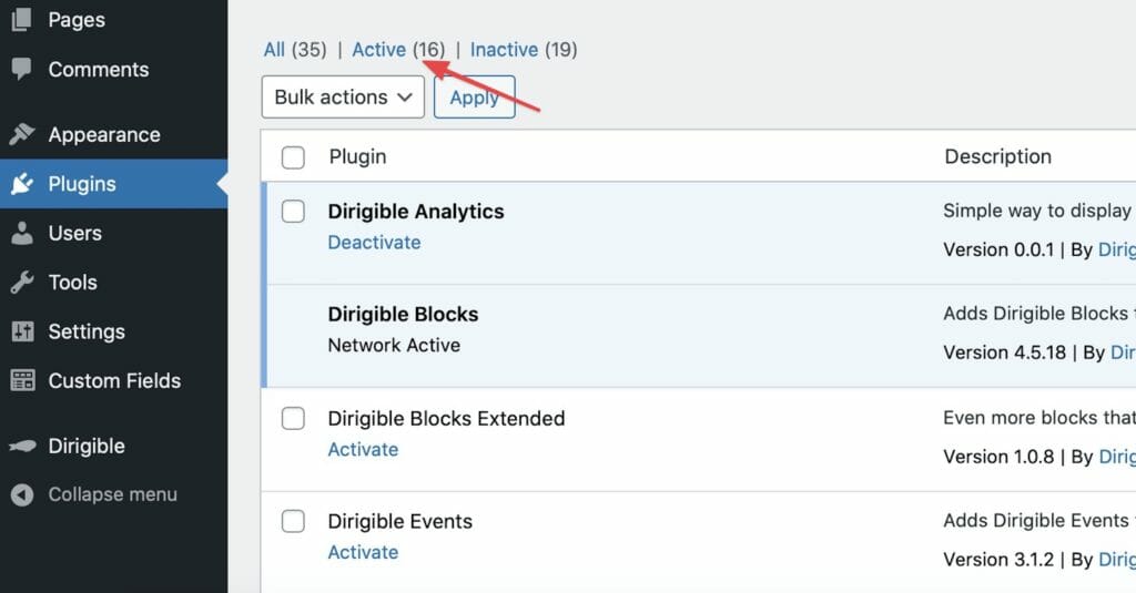 Which Plugins Are Installed? | Dirigible Support