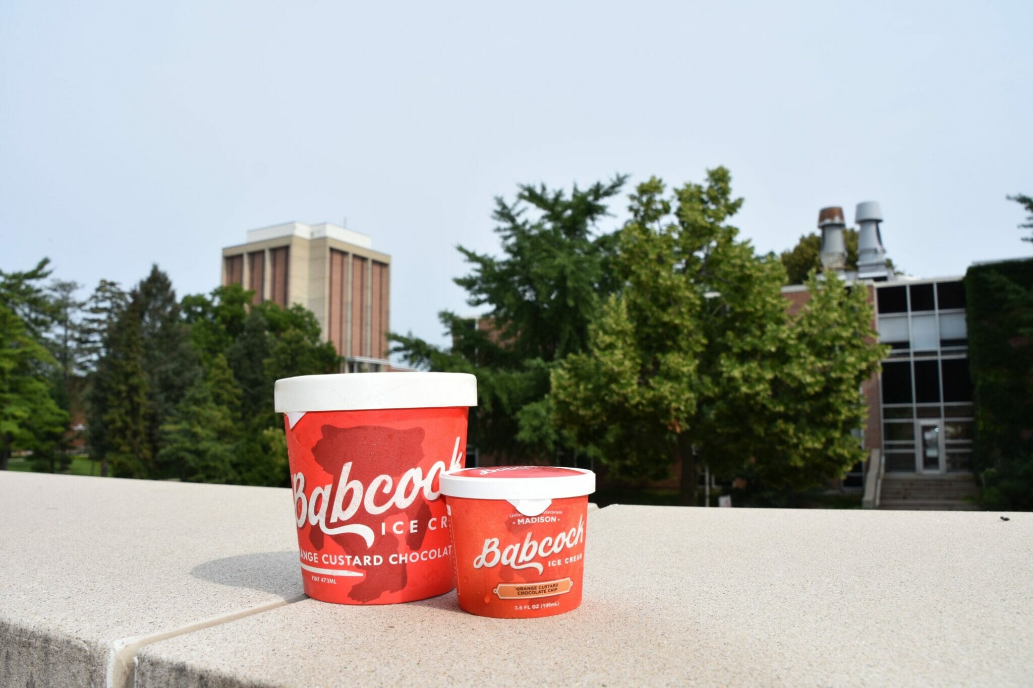 Pre-Packaged Ice Cream – Babcock Dairy Store