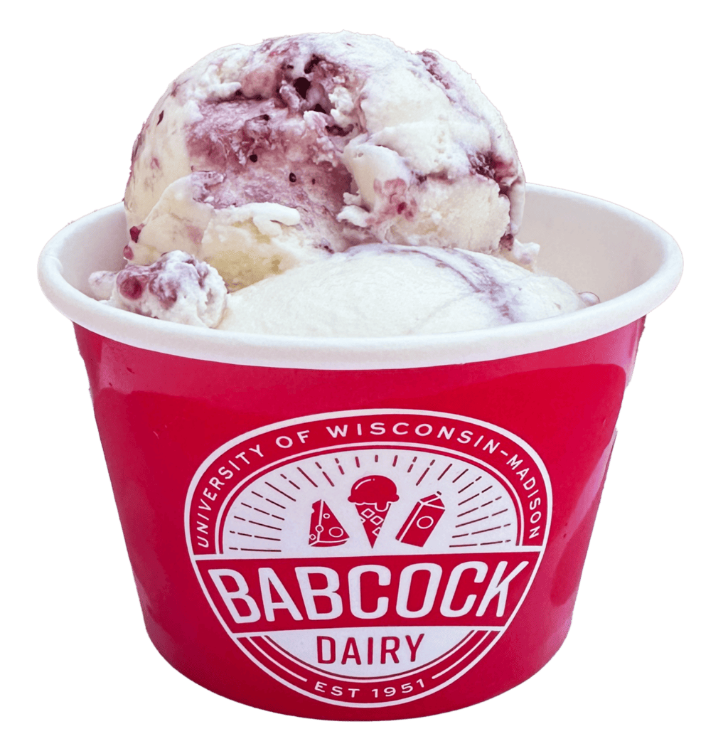 Ice Cream Flavors & Scoops – Babcock Dairy Store
